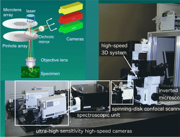 "Super-Resolution: Live Imaging Microscopy" Prof Akihiko Nakano | OIST Groups